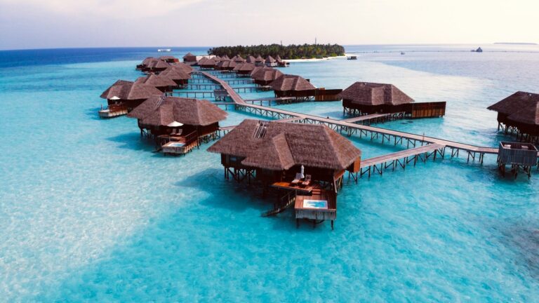 Contact Us - Gogo Tours