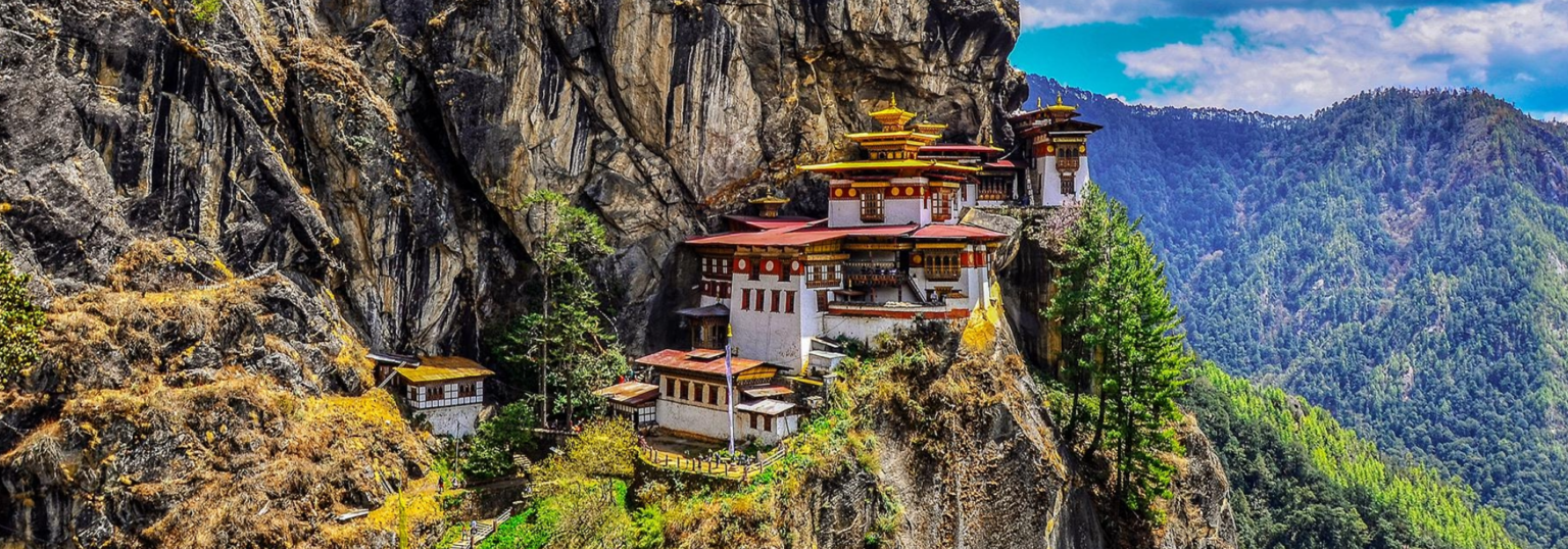 Tours - Gogo Tours